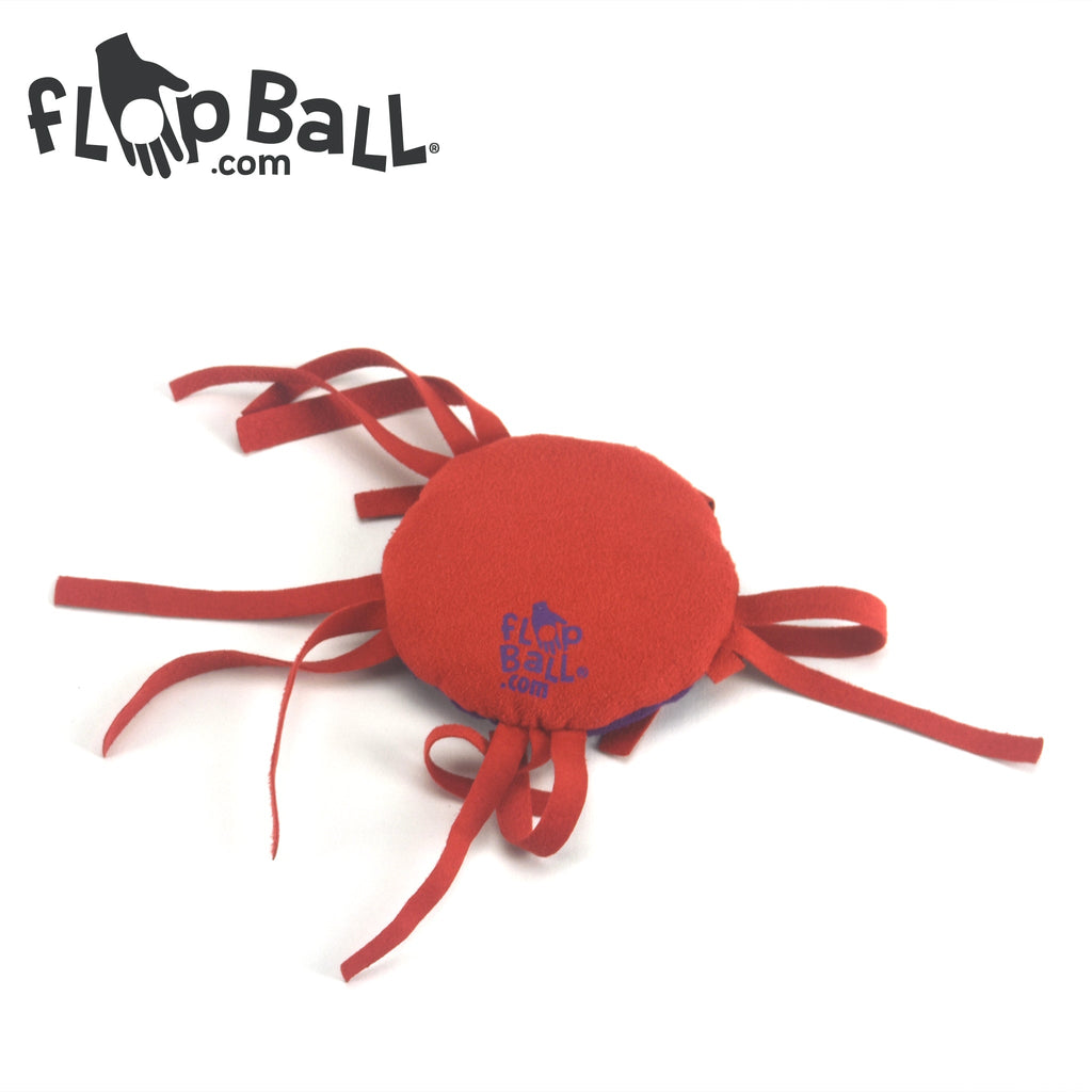 Flop Ball Brand Handsacks and Juggling Equipment – FlopBall.com